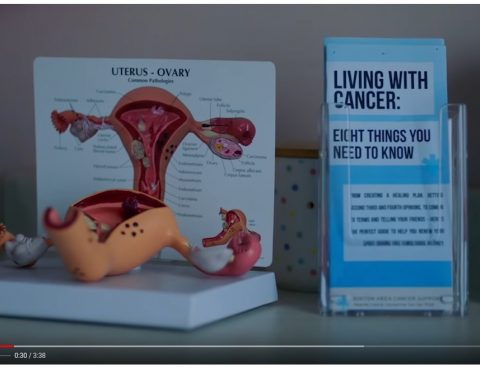 GPI Anatomicals - Stock & Custom Anatomical Models