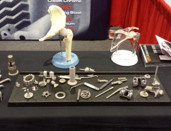 GPI Anatomicals - Stock & Custom Anatomical Models