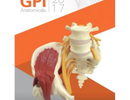 GPI Anatomicals - Stock & Custom Anatomical Models